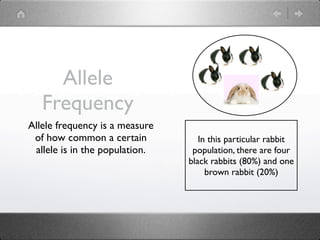 The evolution of populations | KEY