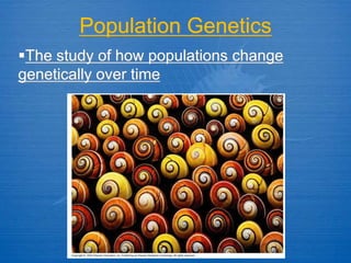 The evolution of populations population genetics | PPT