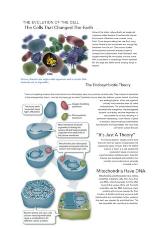 The evolution of the cell | DOCX