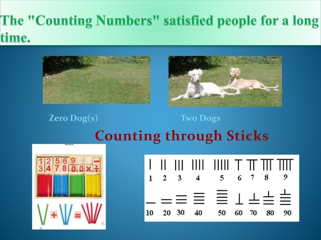 The Evolution of the Number System | PPTX | Science