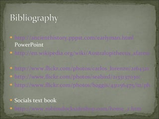 The evolution of tools | PPT