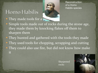 The evolution of tools | PPT | Arms & Ammunition | Sensitive Topics