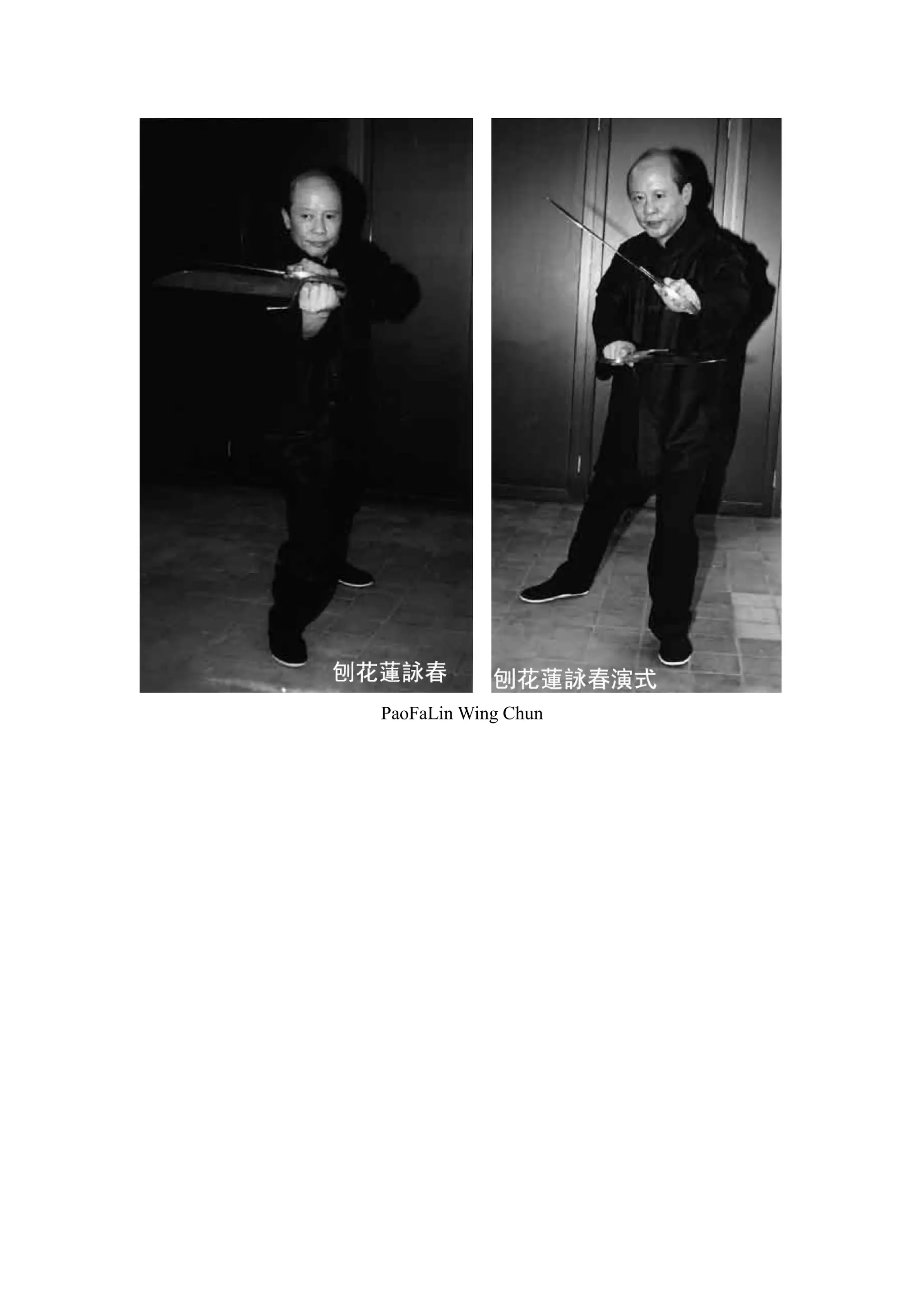 The evolution of Wing Chun in last sixty years (in Hong Kong) | PDF