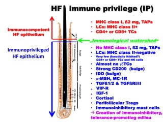 The evolving pathogenesis of alopecia areata and biomarkers of disease ...