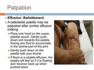 The Examination of the Knee_040716.pptx