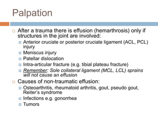 The Examination of the Knee_040716.pptx