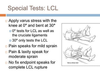 The Examination of the Knee_040716.pptx