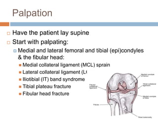 The Examination of the Knee_040716.pptx