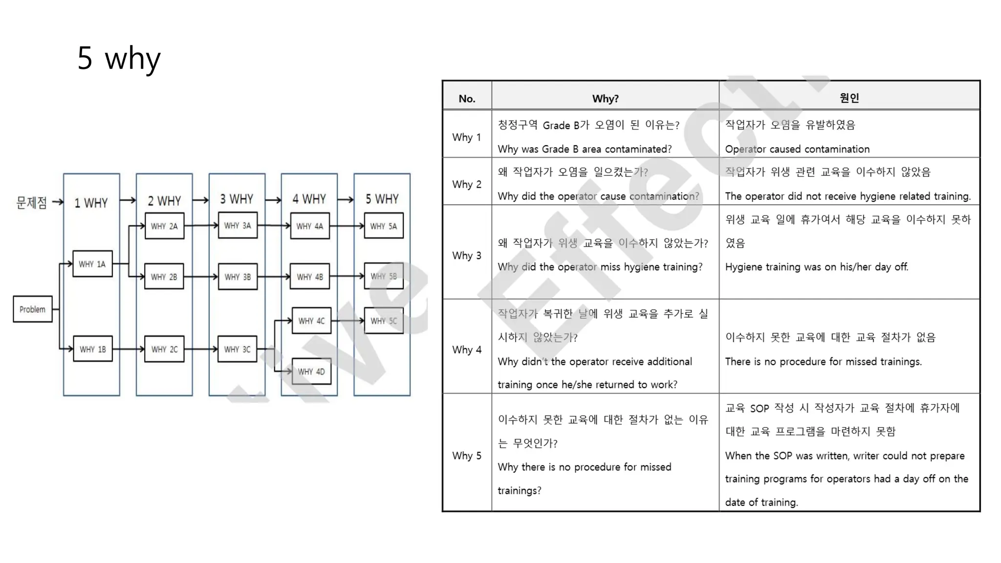 The example of root cause investigation method (NQA02-002-F01) (2).pptx