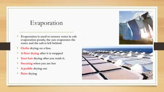 The examples of ways of separaing substances | PPTX