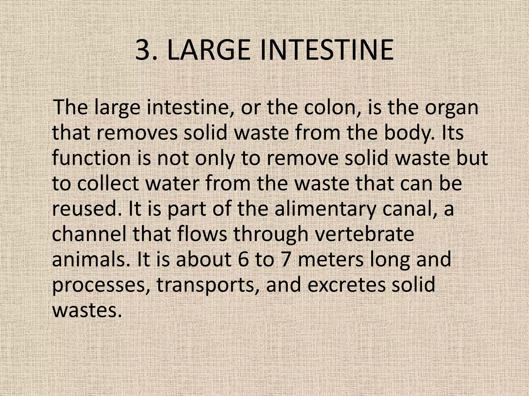 The excretory system | PPTX