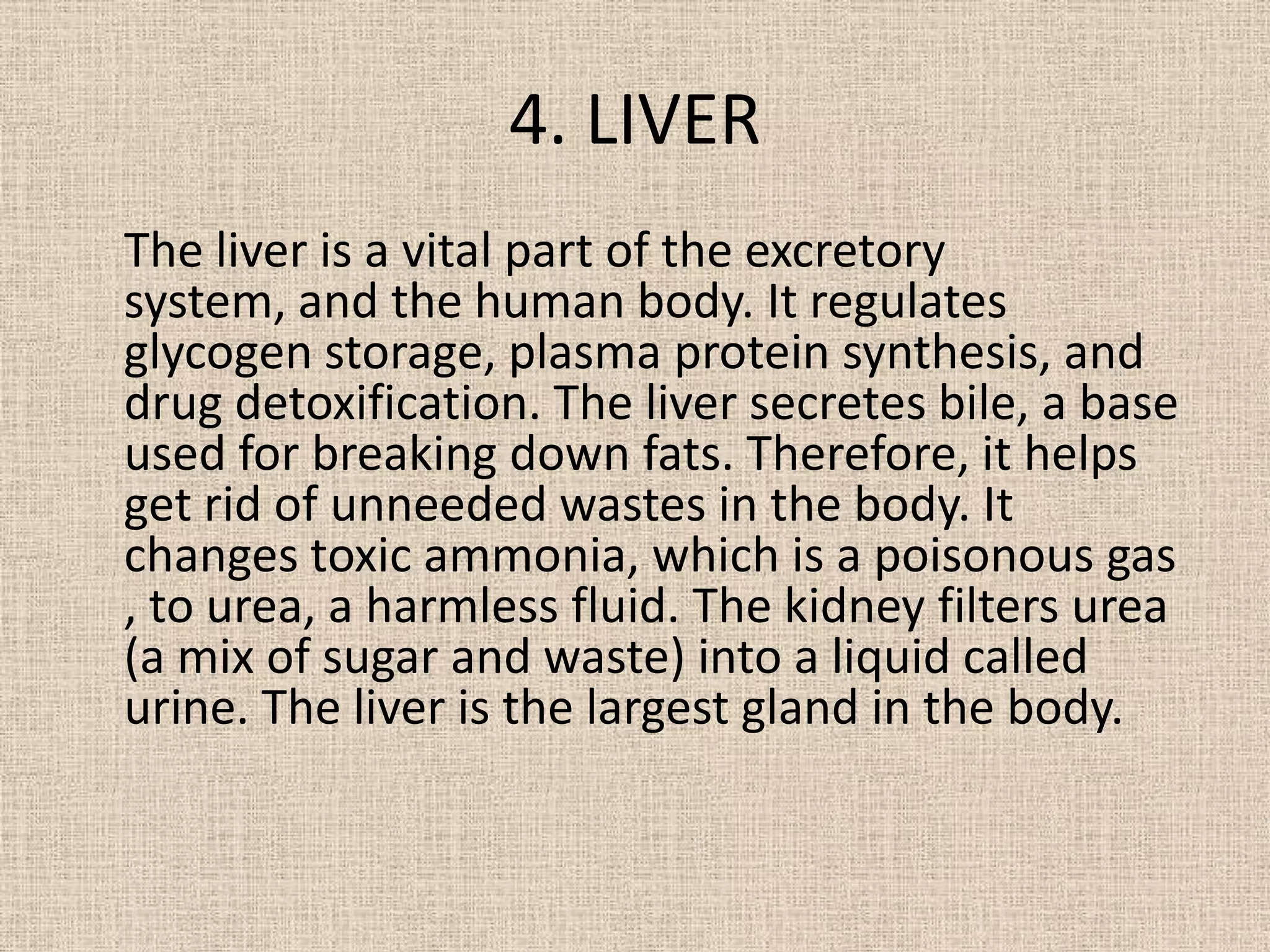 The excretory system | PPTX