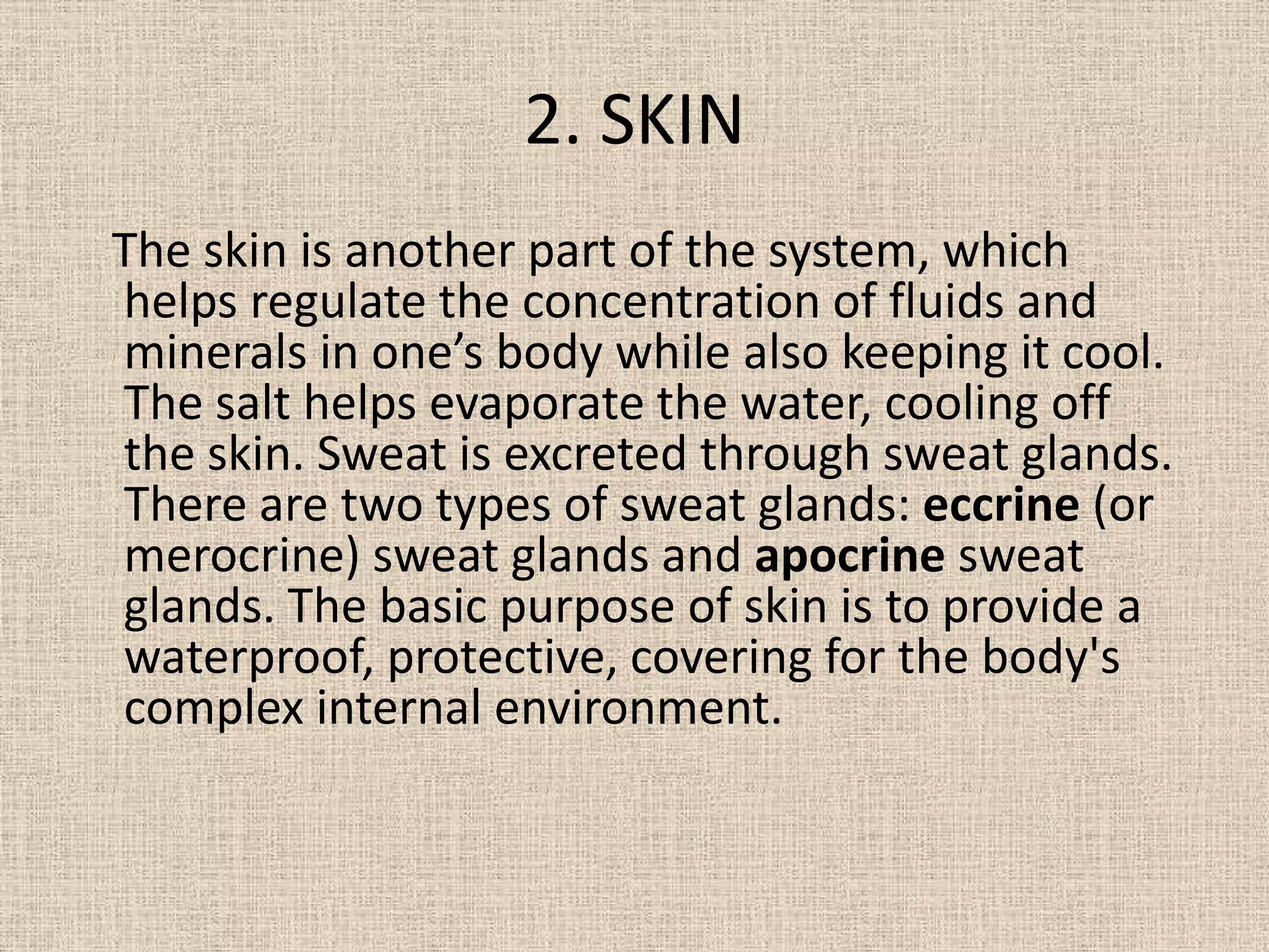 The excretory system | PPTX