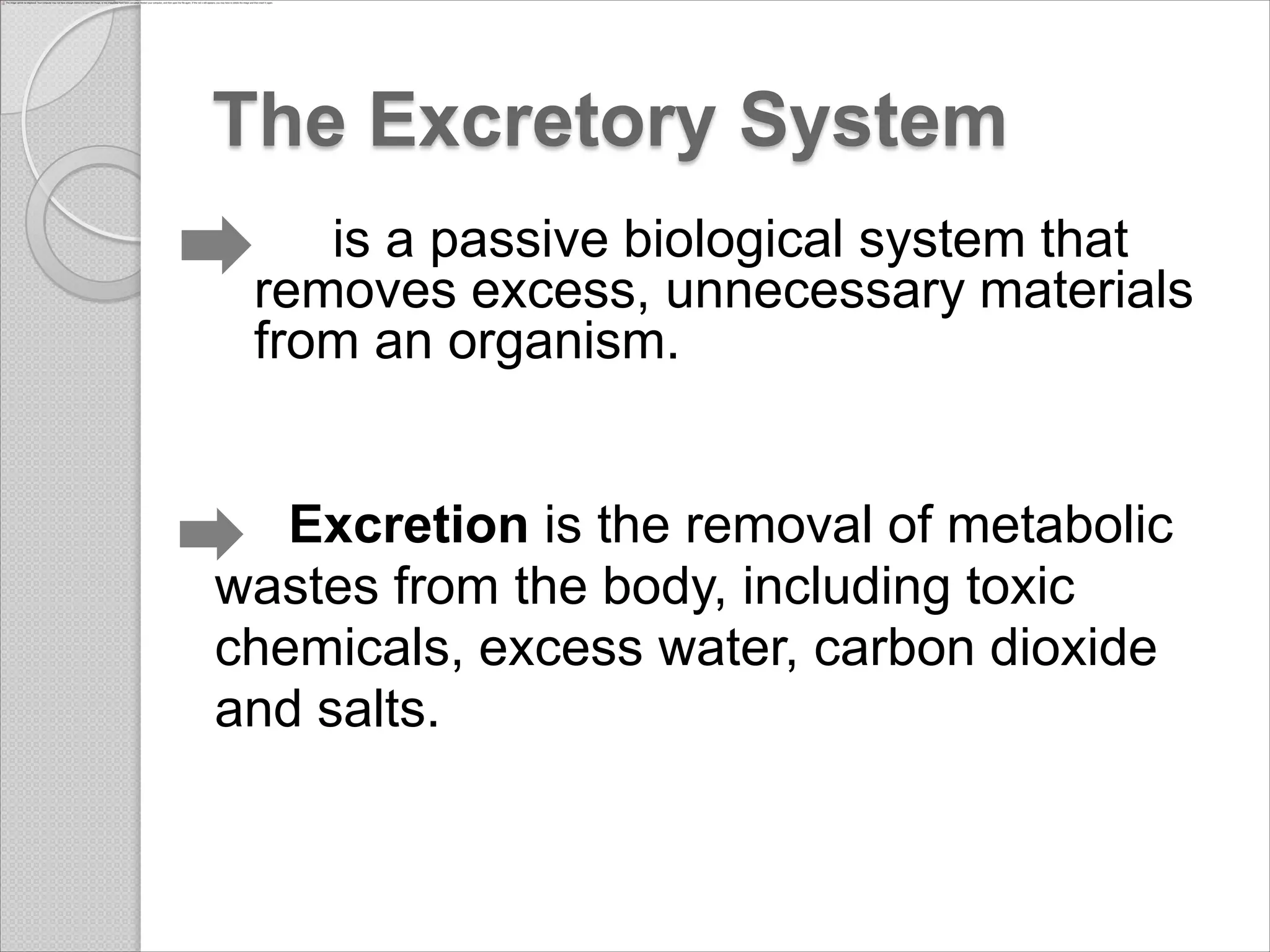 The excretory system | PPTX