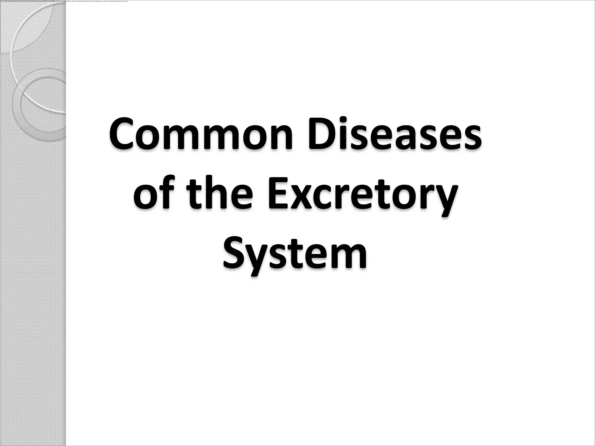 The excretory system | PPTX