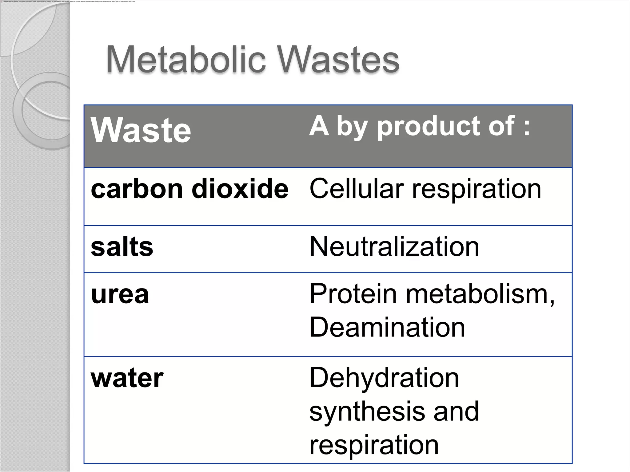 The excretory system | PPTX