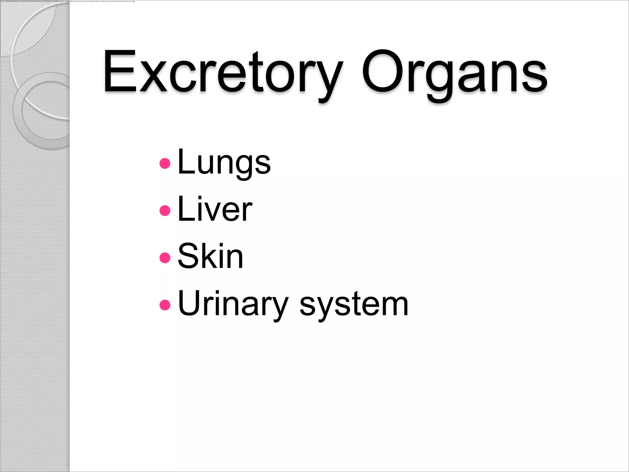 The excretory system | PPTX
