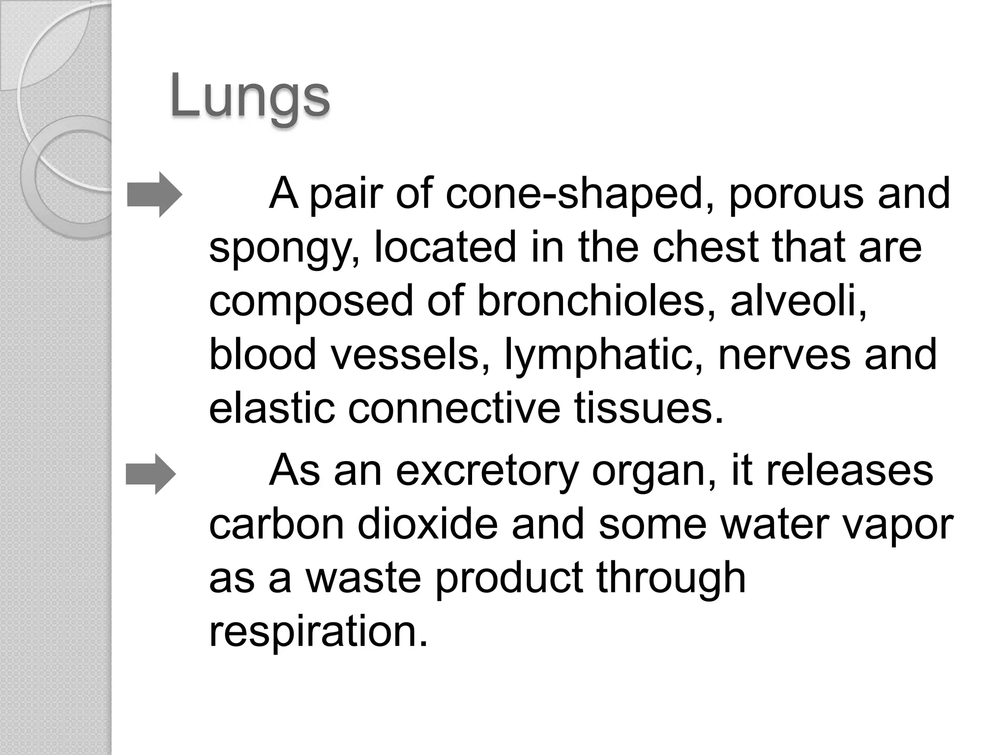 The excretory system | PPTX