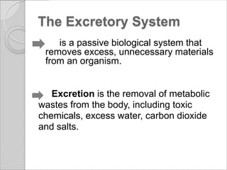 The excretory system | PPTX