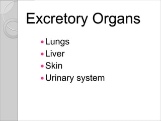 The excretory system | PPTX | Lung and Respiratory Health | Diseases ...