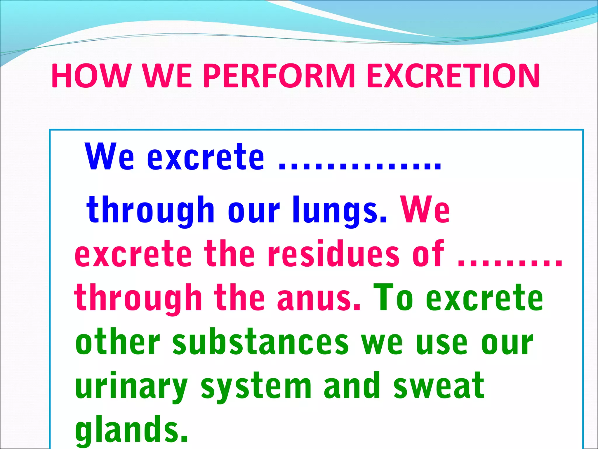 The excretory system | PPT