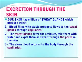 The excretory system | PPT