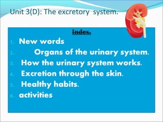 The excretory system | PPT