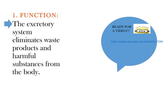 The excretory system | PPT | Geology | Science