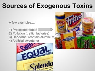 The excretory system1 | PPT