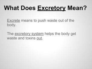 The excretory system1 | PDF