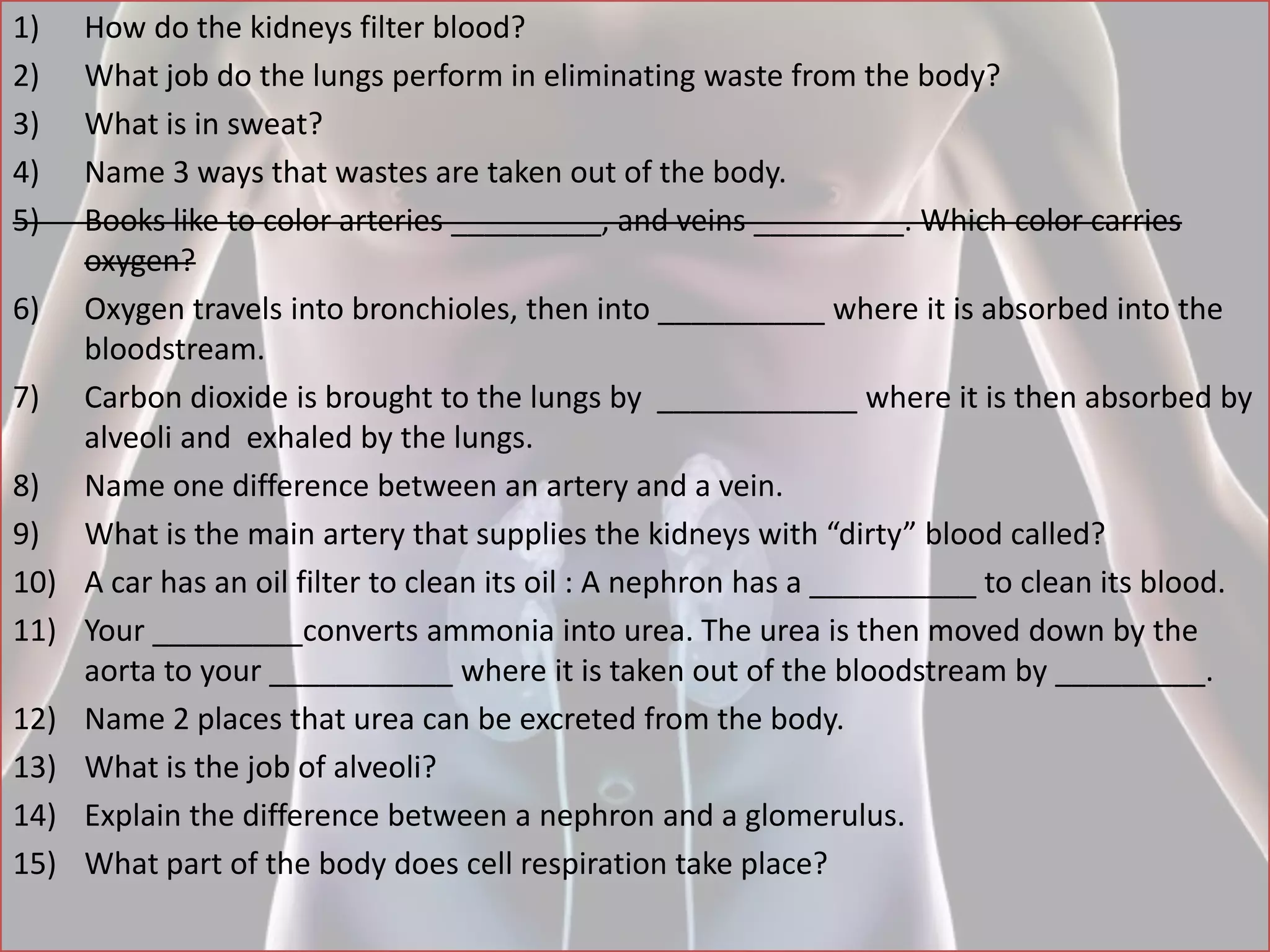 The Excretory System3 | PPTX