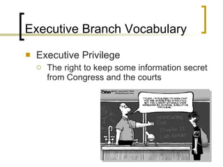 The Executive Branch Vocabulary | PPT