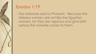 The exodus - a lesson in freedom | PPTX