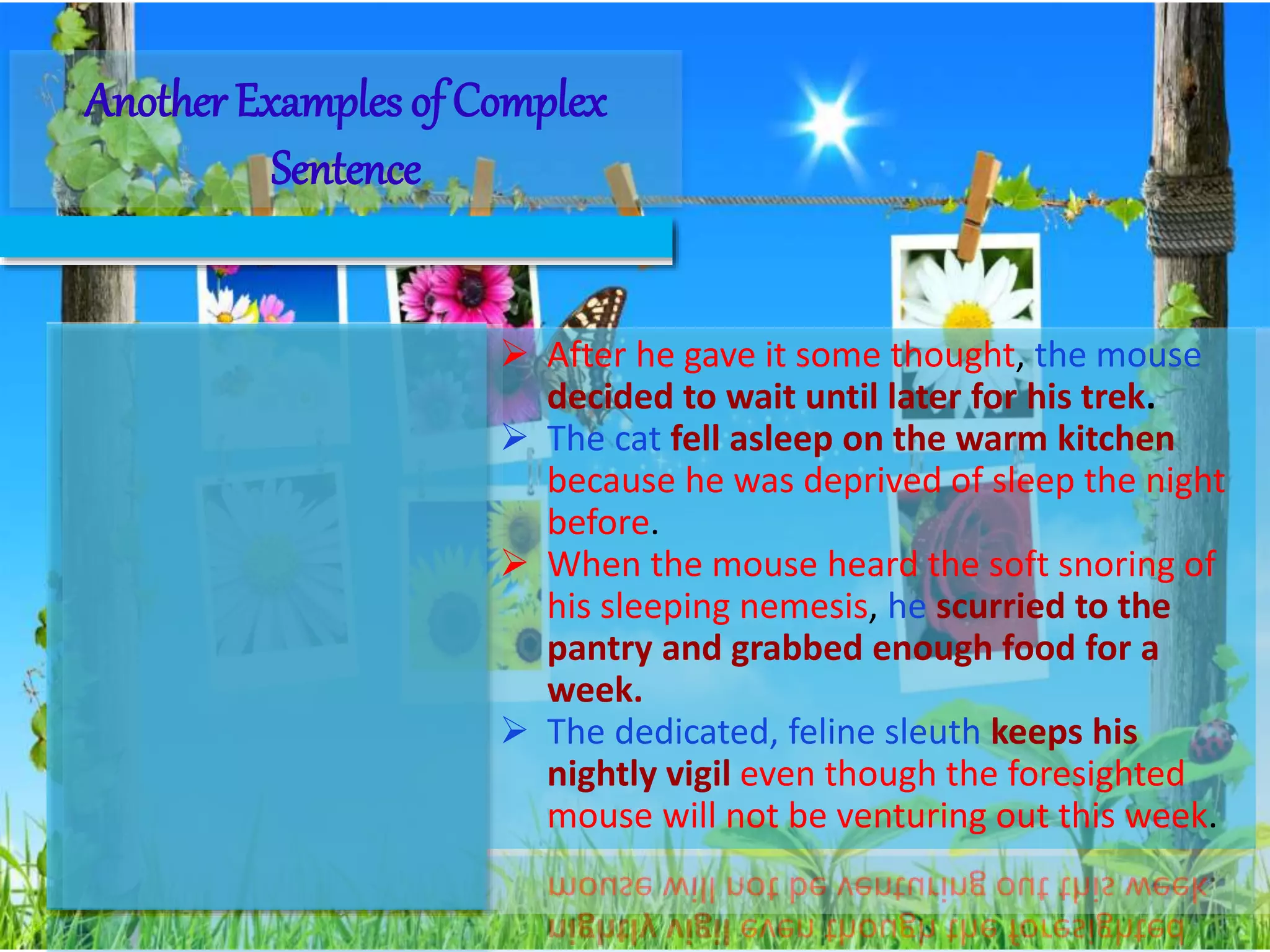 Simple, Compound, Complex Sentences | PPT