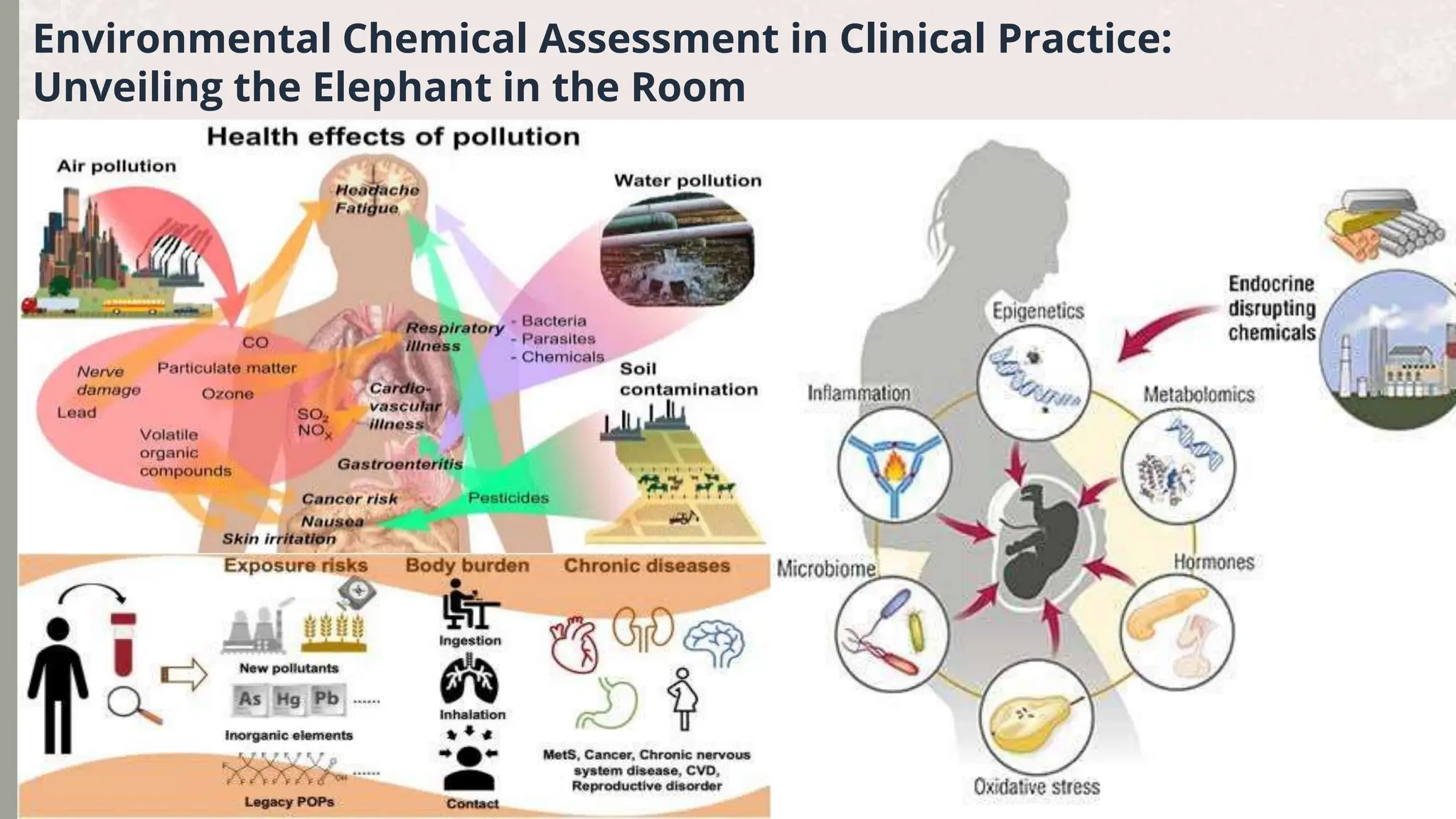 Environmental impacts on The exposome.pptx | Cancer | Diseases and ...