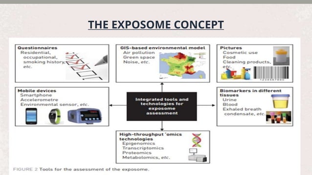 Environmental impacts on The exposome.pptx | Cancer | Diseases and ...