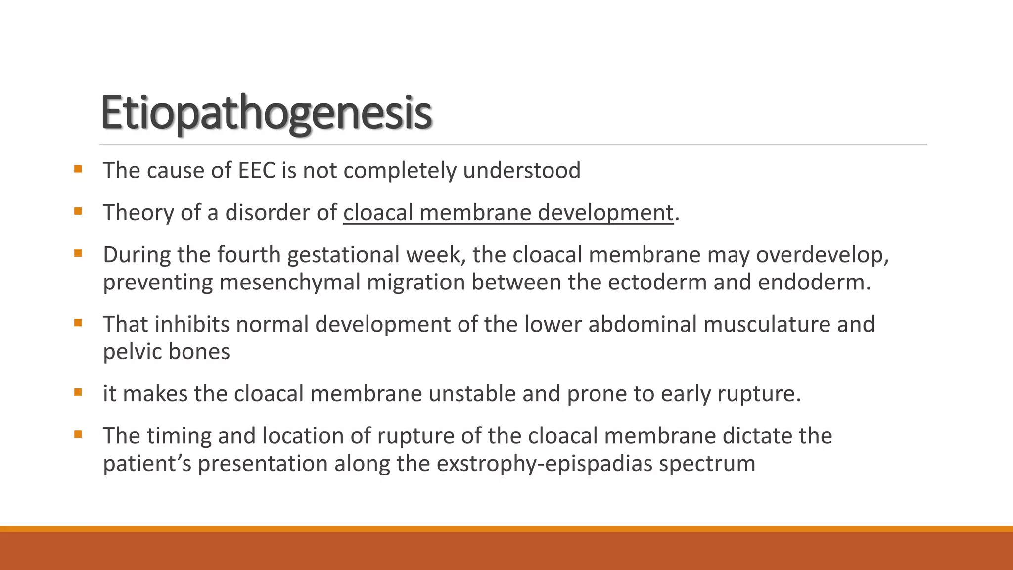 The exstrophy epispadias complex | PDF