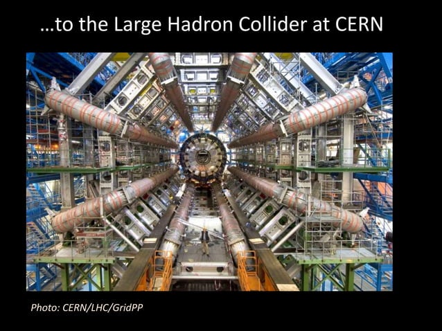 Extended Phenotype | PPT | Free Download