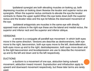 The extraocular muscles and ocular movements | PPTX