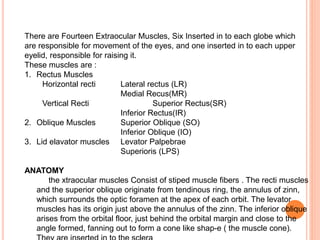 The extraocular muscles and ocular movements | PPTX
