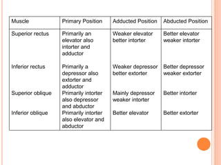 The extraocular muscles and ocular movements | PPTX