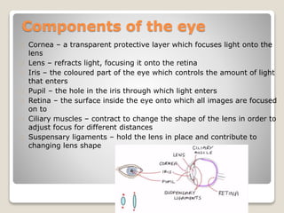 The Eye - Myopia, Hyperopia, Lenses and Laser Eye Surgery | PPTX