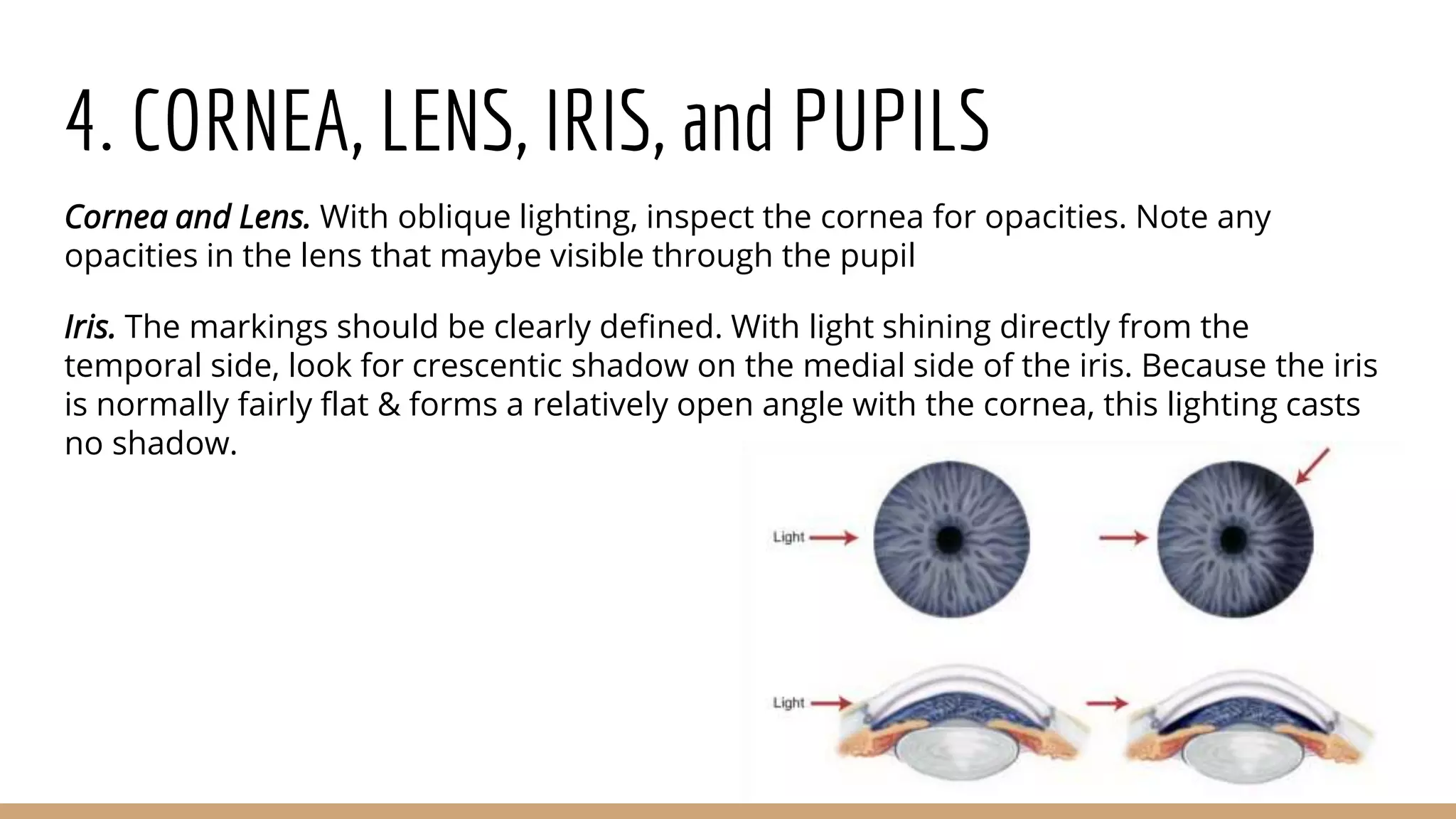 The eye | PPTX