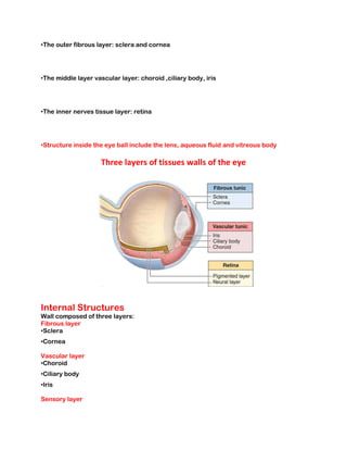 The Eye.pdf
