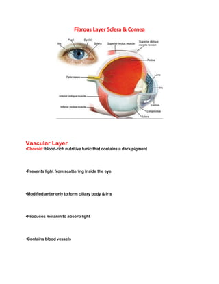 The Eye.pdf
