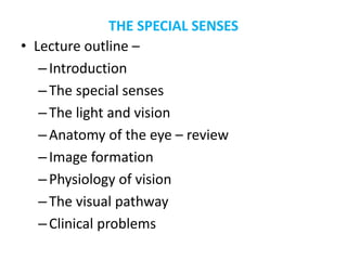 The Eye notes physiology notes for medical students | PPT