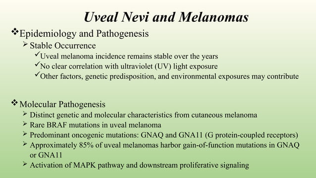 The Eye is full of pathological diseases. | PPT