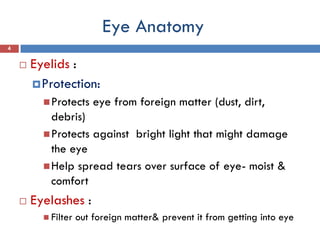 THE COMPREHENSIVE ANATOMY OF THE EYE FOR MEDICAL STUDENTS | PDF