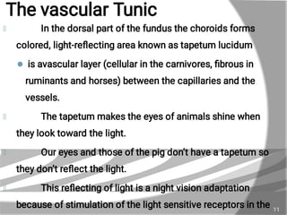 The Eye 2.pdf