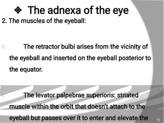 The Eye 2.pdf